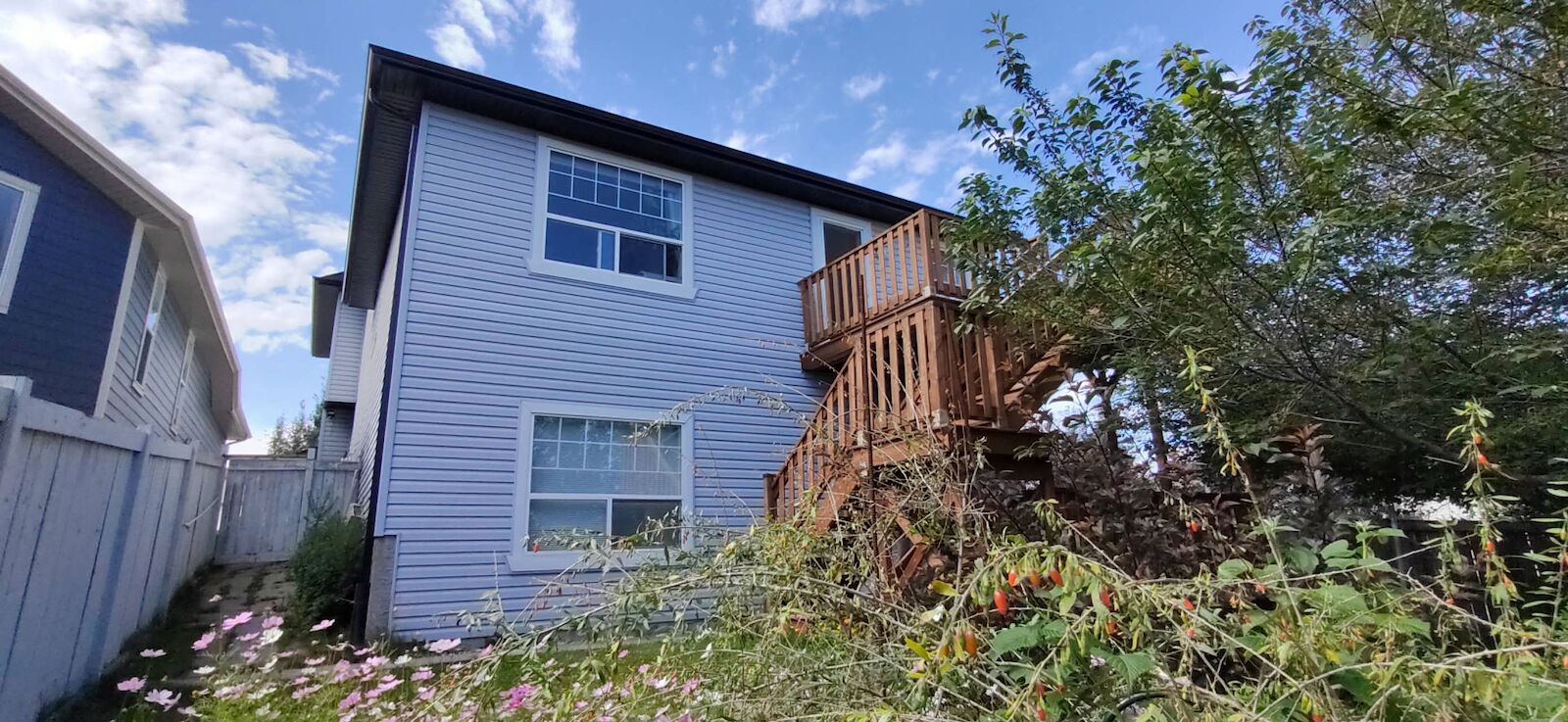 Calgary Pet Friendly Basement For Rent | Panorama Hills | Spacious 2 ...