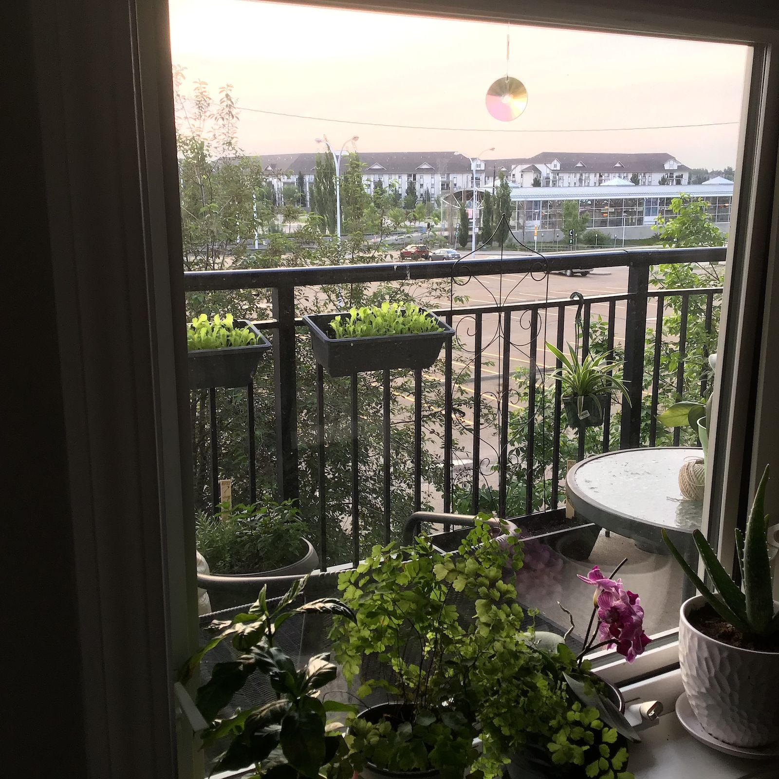 Edmonton Pet Friendly Condo Unit For Rent | Clareview | Clareview ...