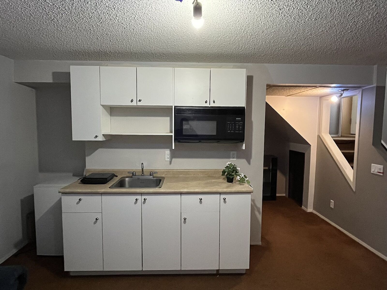 Calgary Pet Friendly Basement For Rent | Erin Woods | Cozy and clean 1 ...