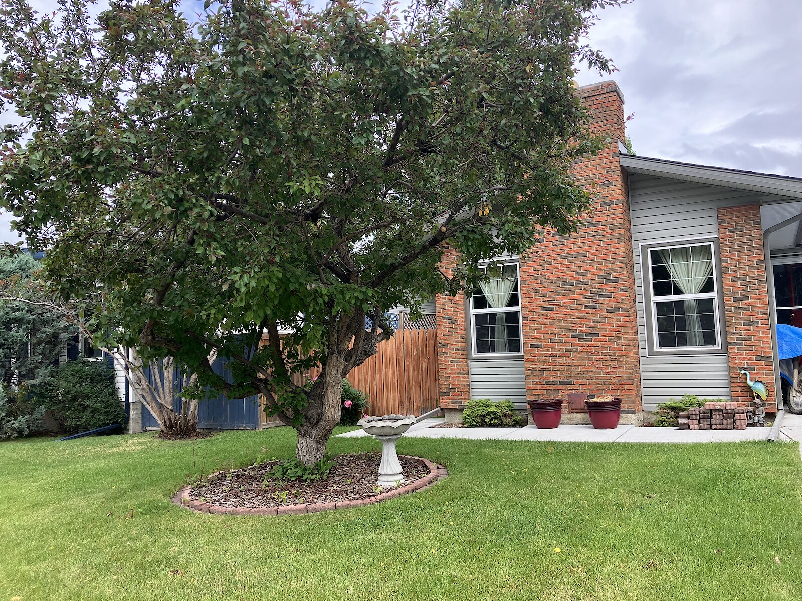 Calgary Room For Rent For Rent | Braeside | Private bedroom in ...