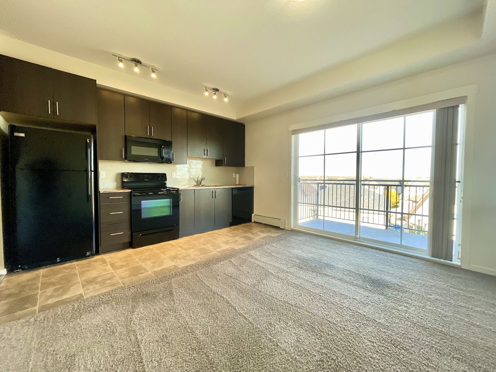 Calgary Condo Unit For Rent | Copperfield | Bright Top-Floor Condo in ...