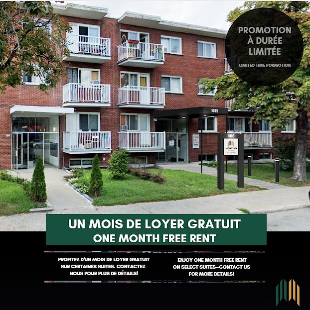 Montréal Pet Friendly Apartment For Rent | Mistral Immobilier | ID ...