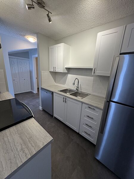 Calgary Pet Friendly Townhouse For Rent | Dover | BRAND NEW RENOVATED ...