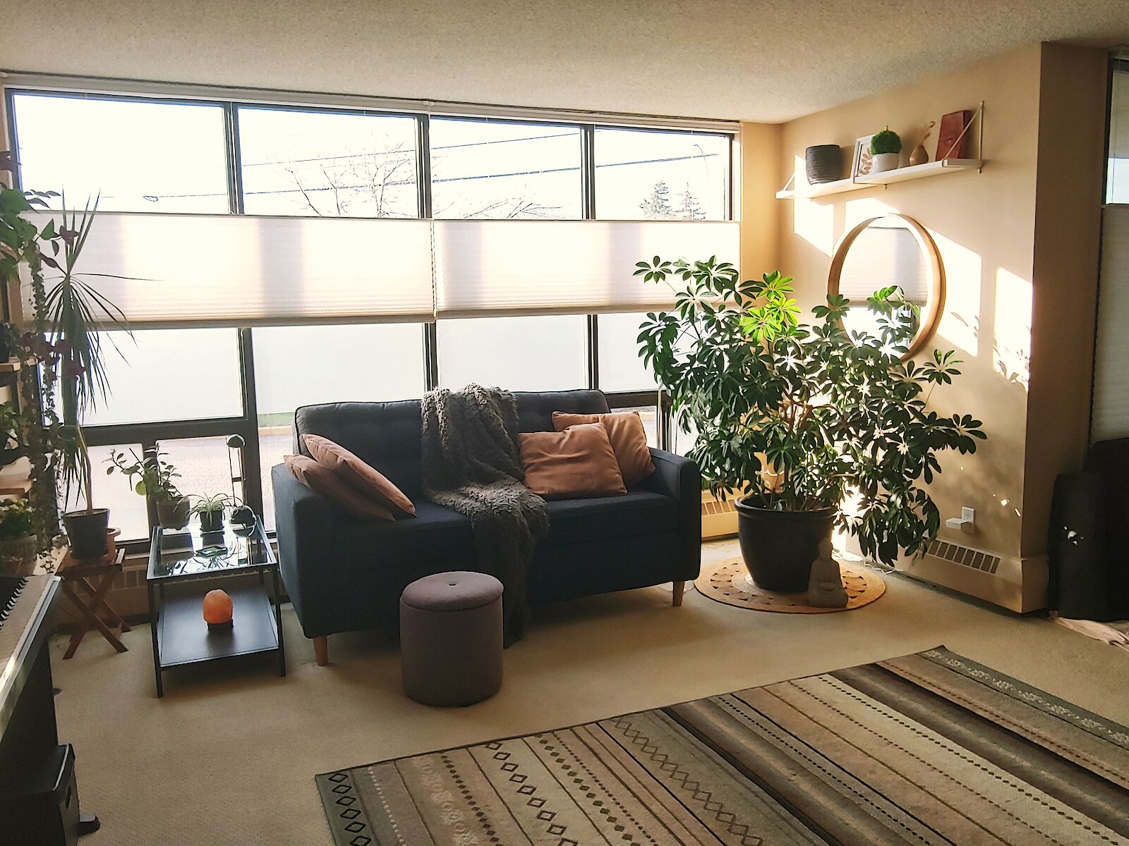 Calgary Pet Friendly Condo Unit For Rent | Point McKay | Available NOV ...