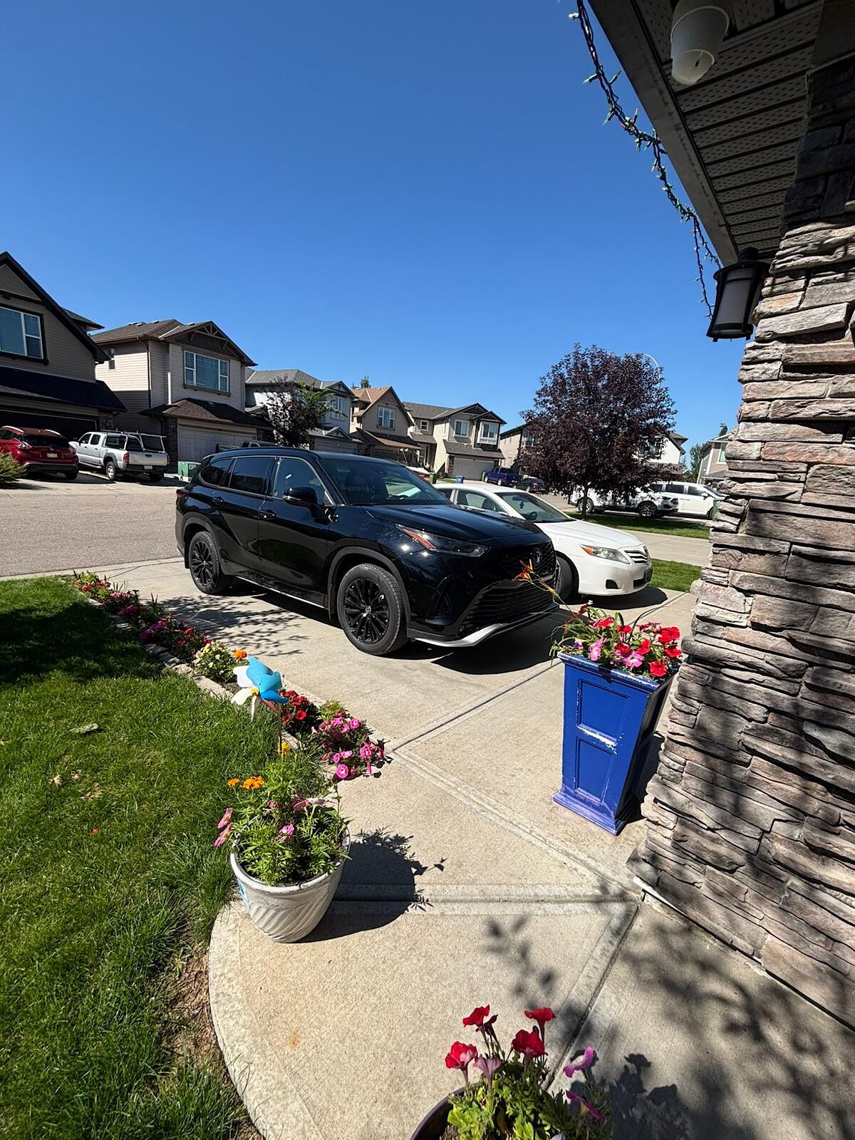 Calgary Main Floor For Rent | New Brighton | Upstairs for rent in New ...